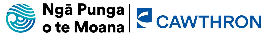Ngā Punga o te Moana - Anchoring Our Open Ocean Future
